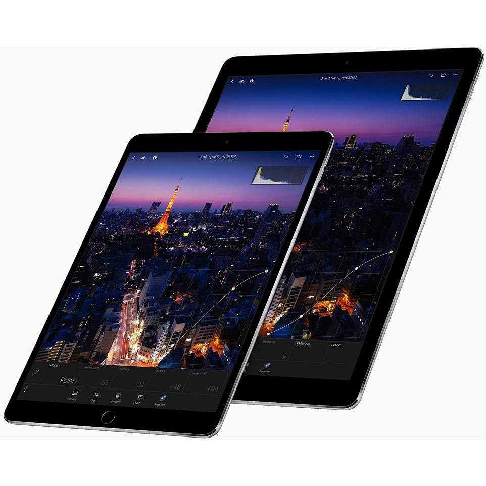 Apple iPad Pro Tablet iOS Rom 64 Gb Display 12.9 pollici colore Grigio ...